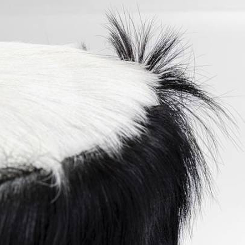 🛒 ПУФ FLINT STONE BLACK 🇺🇦 DIZAYNER®